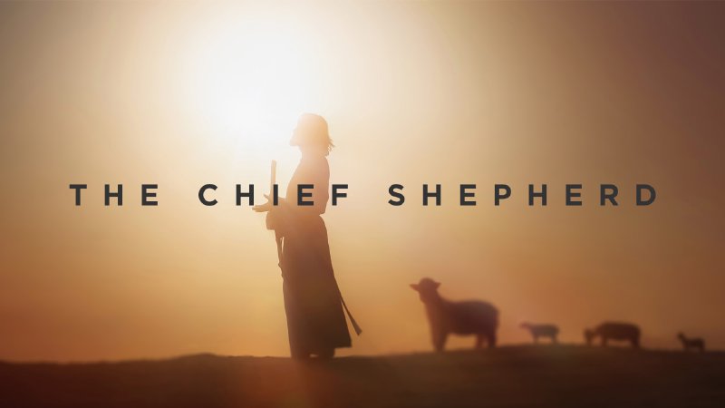 The Chief Shepherd | Dayspring Church - Auburn, Indiana