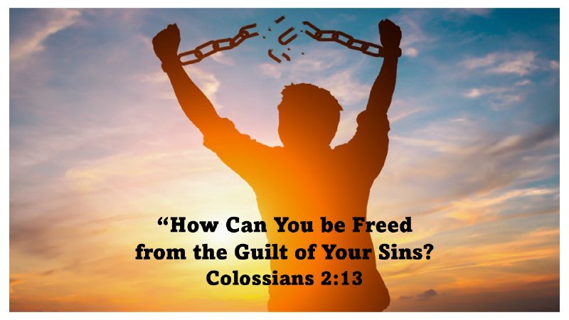 How Can You be Freed From the Guilt of Your Sins? | Word of Grace Bible ...