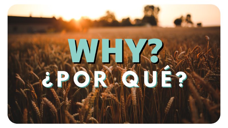 Why? // ¿Por Qué? | IC:Madrid