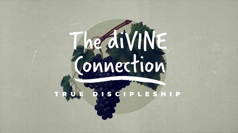 The diVINE Connection | Journey Church