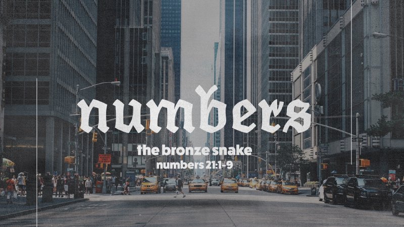 The Bronze Snake | First Baptist Sevierville