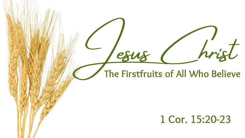 Jesus Christ - The Firstfruits of All who Believe | Black Oak Heights ...
