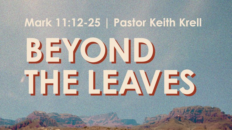 Mark 11:12-25 | Beyond the Leaves | Crossroads Bible Church - WA