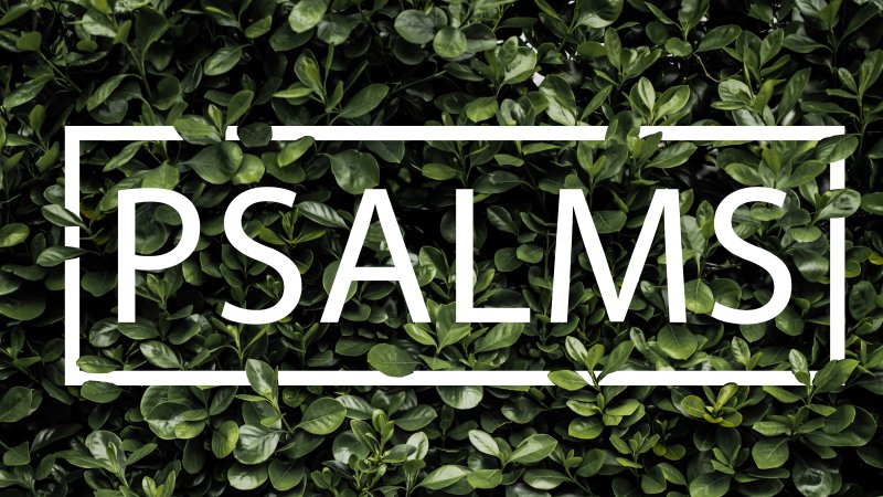 Understanding God's Word | Calvary Littleton Church