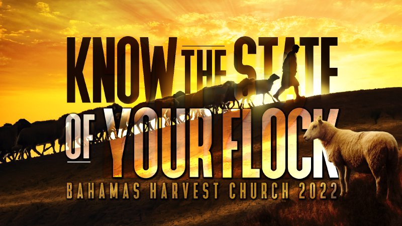 Pursue The Black Sheep | Bahamas Harvest Church