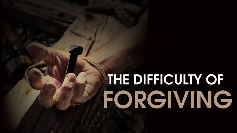 The Difficulty of Forgiving | TotalJDM