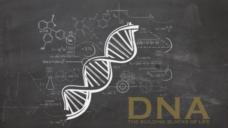 DNA | Week 6 | Transform | ChangePoint