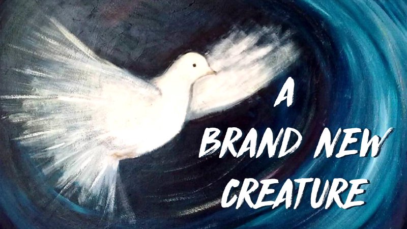 A BRAND NEW CREATURE | House On The Rock Family Church