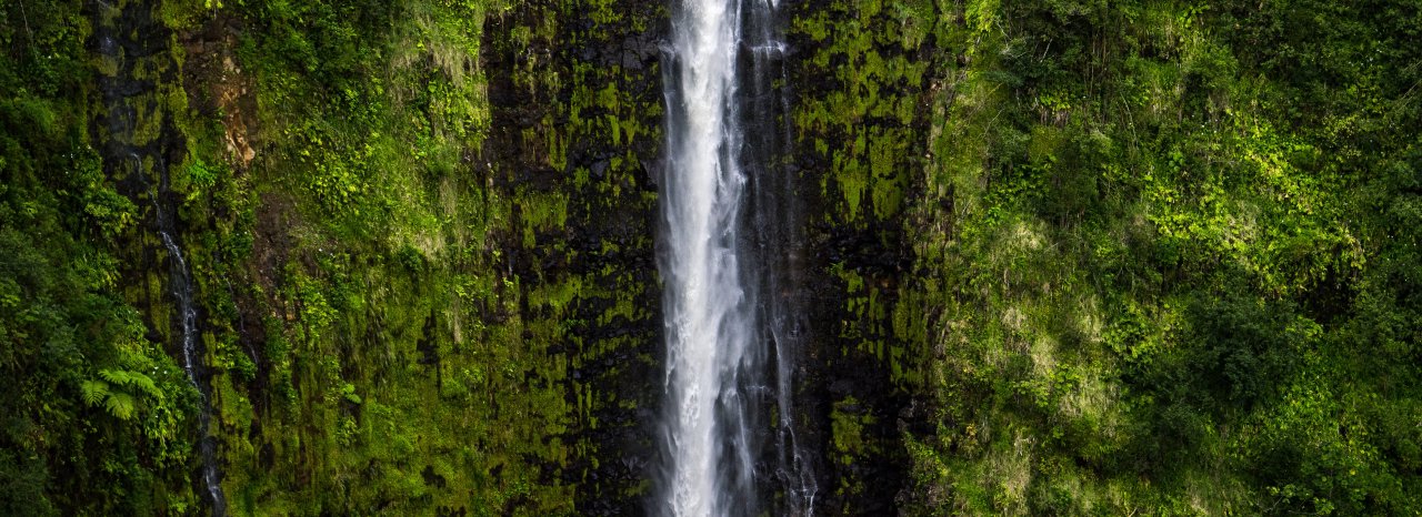 Series - Authentic Word Ministries