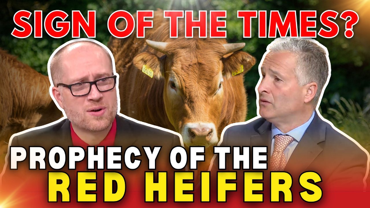 THE PROPHECY OF THE RED HEIFERS with Mondo Gonzales Pt 1 - SkyWatchTV