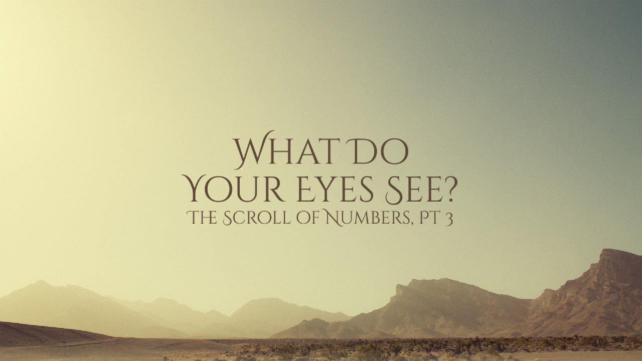 What Do Your Eyes See? - Restoration Seattle