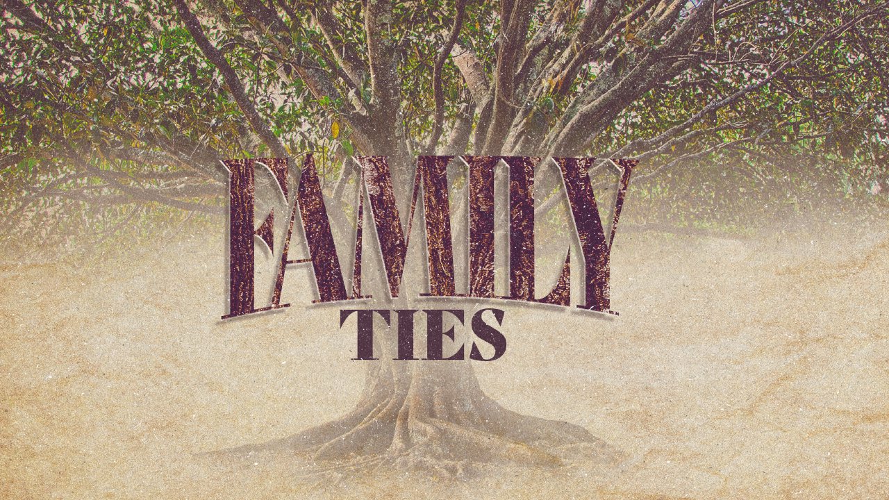 Family Ties (2025) - Vision RDU