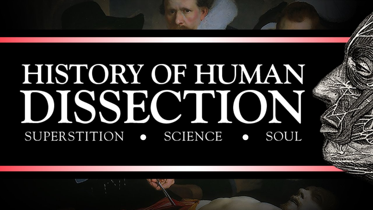 History of Human Dissection - FreedomProject