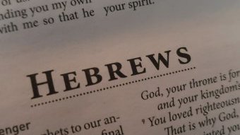 Hebrews Chapter 2 Part 1 - My Bible Study